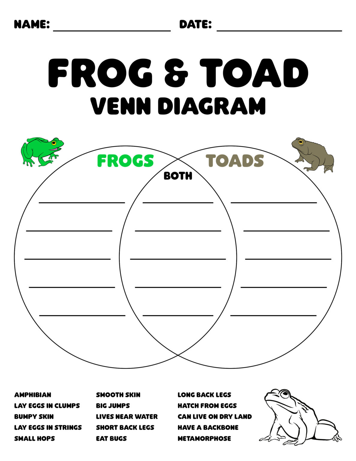 Frog vs Toad Venn Diagrams (For Kids & Teens) - Mr. Amphibian