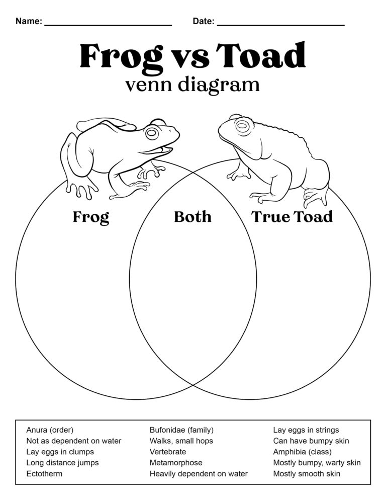 Frog vs Toad Venn Diagrams (For Kids & Teens) - Mr. Amphibian