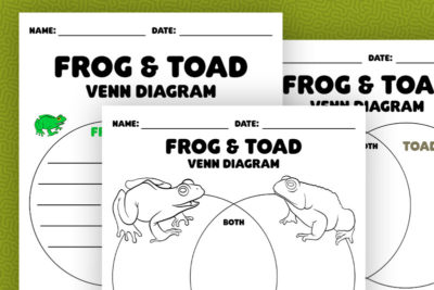 Frog vs Toad Venn Diagrams (For Kids & Teens) - Mr. Amphibian