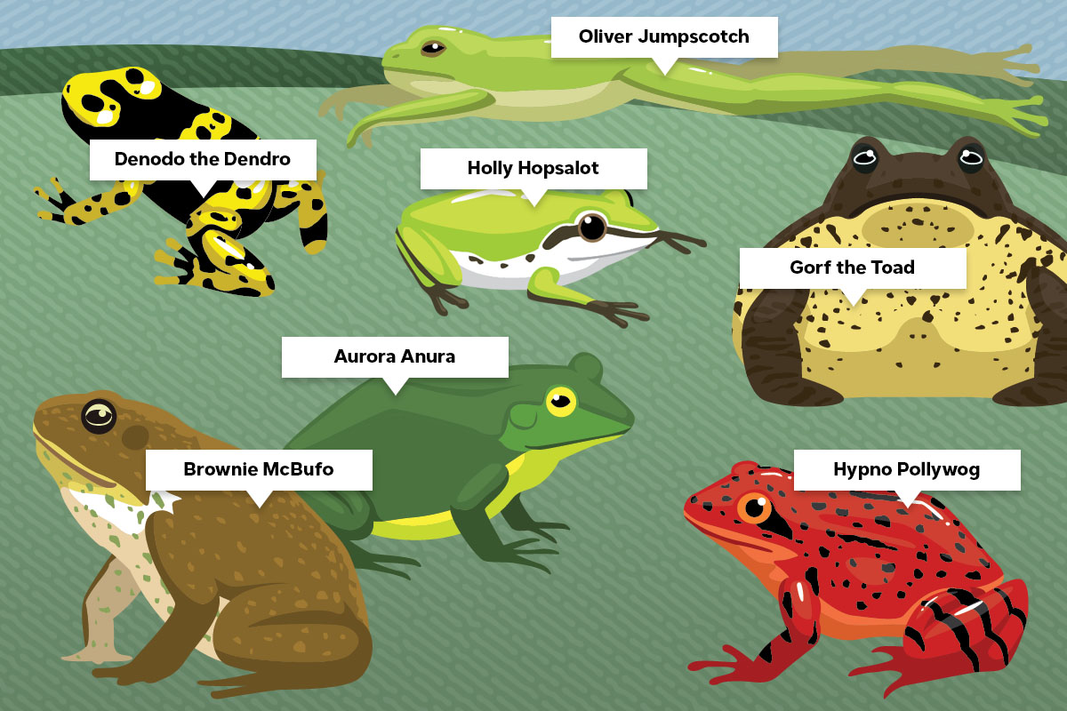 Frog Pokemon Names Frog Pokemon Names