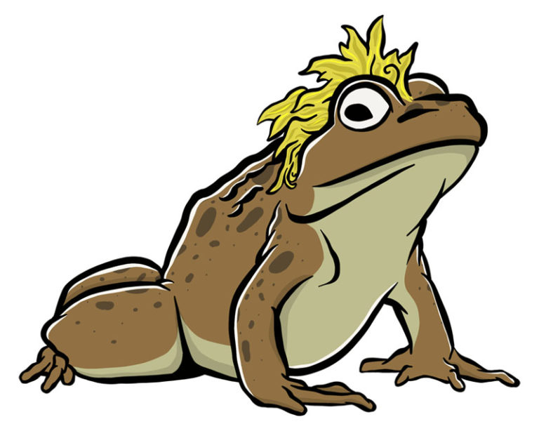 Do Frogs Have Hair? The Answer Revealed - Mr. Amphibian